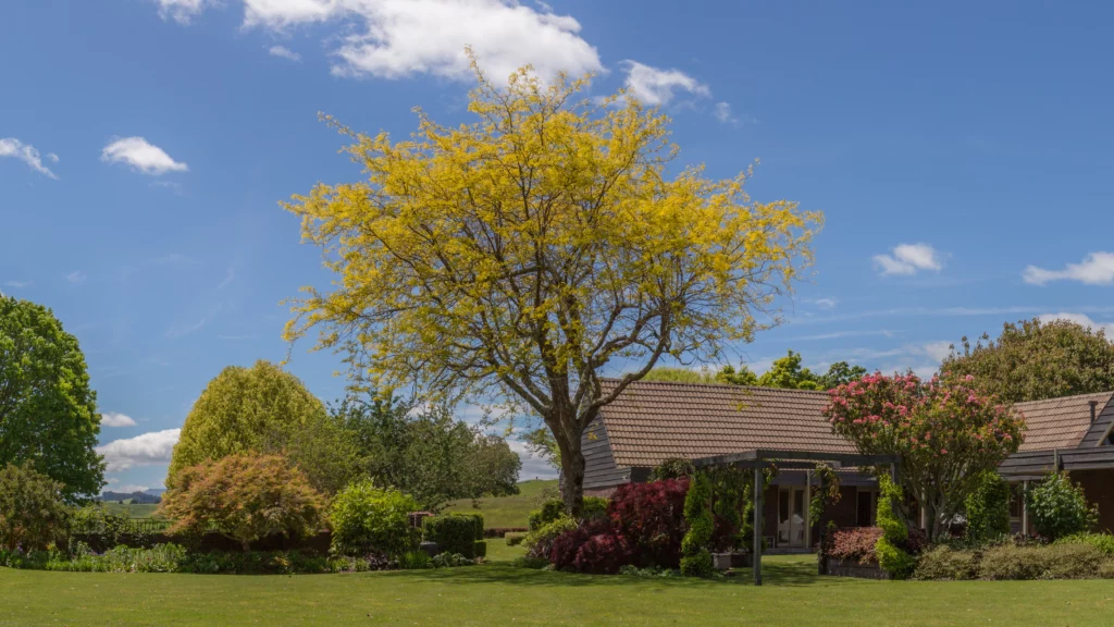 Contact | The Gardener's Folly